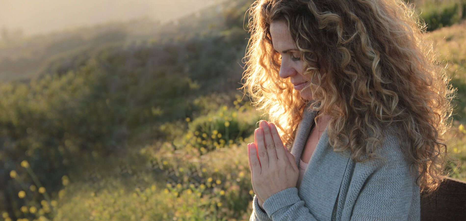 Contact - Seane Corn